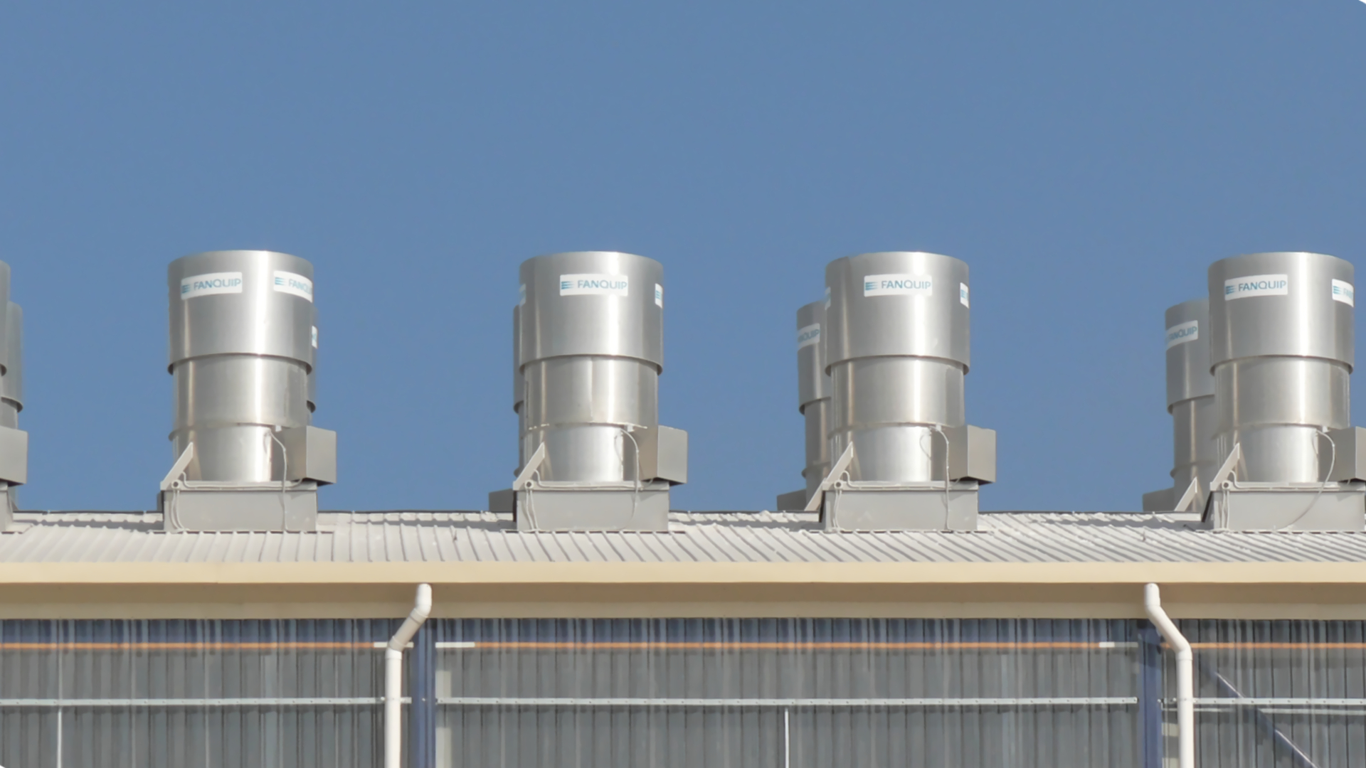 ABC Tissue - Fanquip