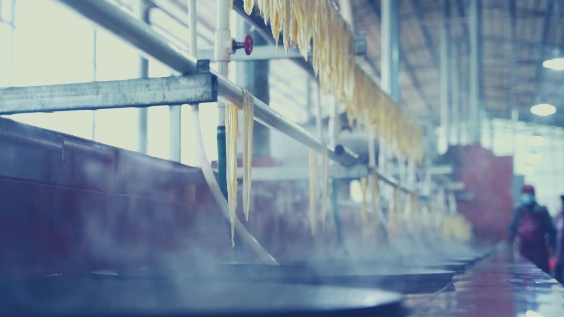 Food Odour Eliminator