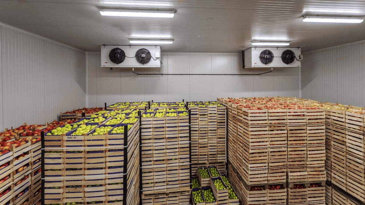 Food Storage Ventilation: Humidity Requirements for Dry Storage